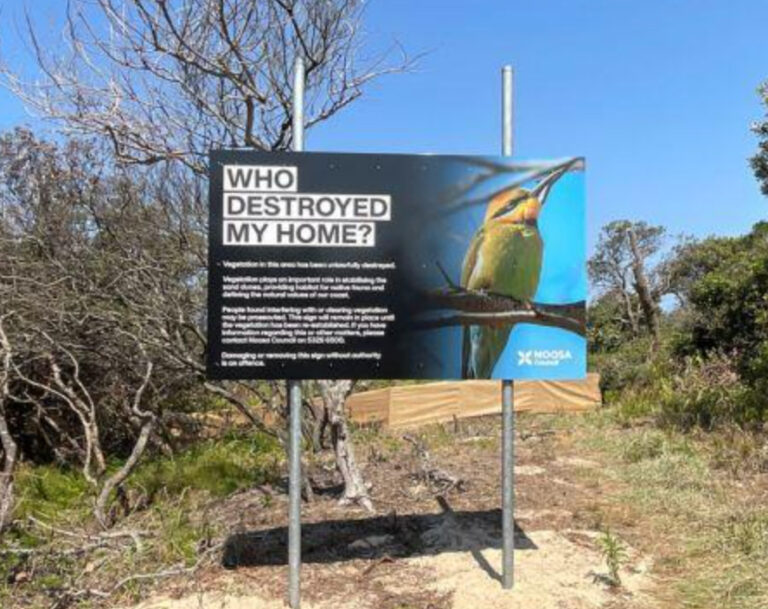 Noosa spells out zero tolerance for tree vandalism - Inside Local Government