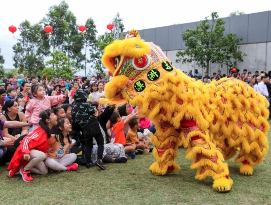 Hills Shire rides into Year of the Horse with record lunar festival ...