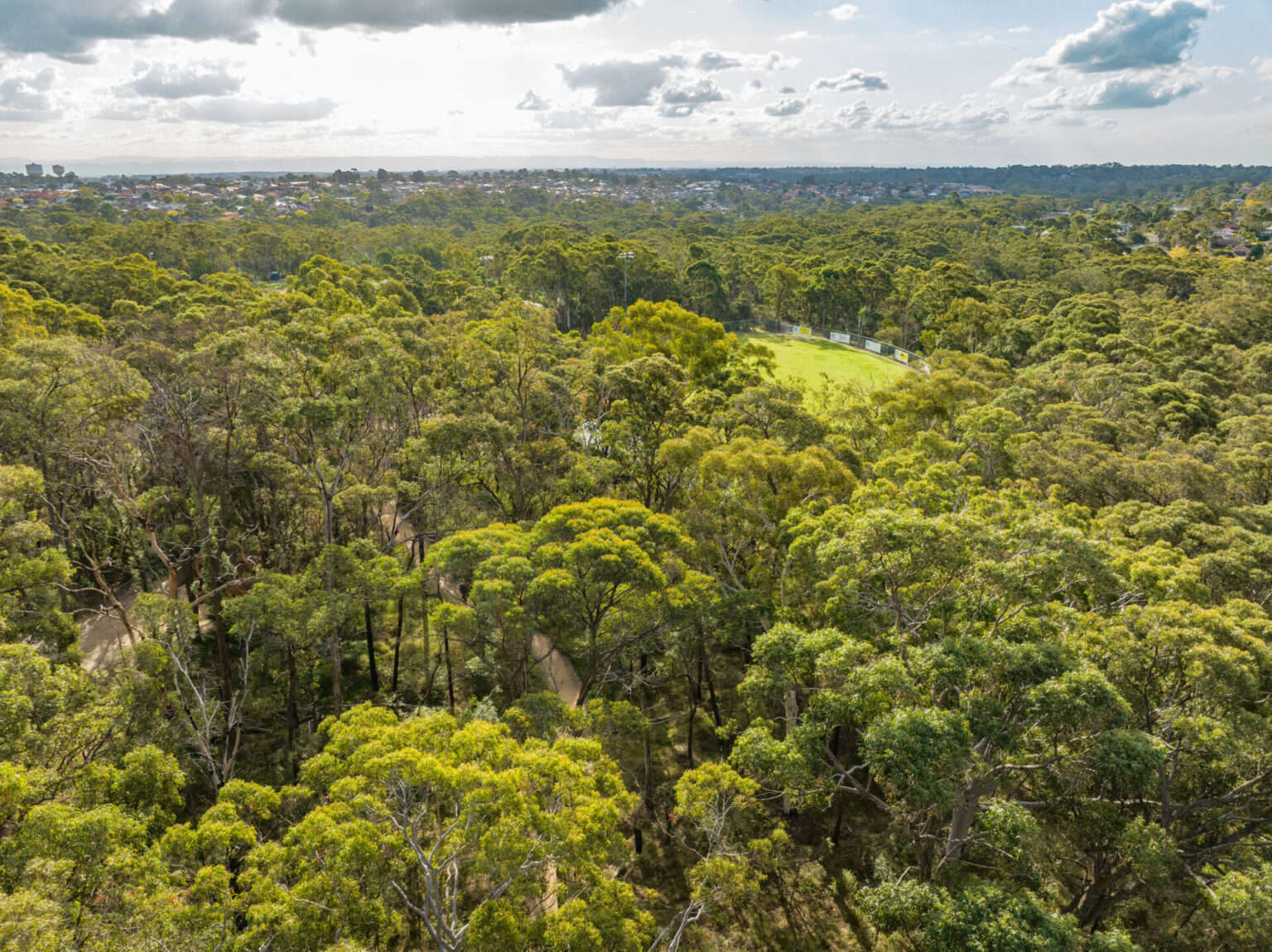 Hills Shire adopts management plan for 'community' land - Inside Local ...