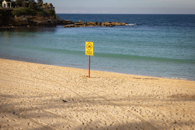 Eastern suburbs beaches closed after shark attack - Inside Local Government